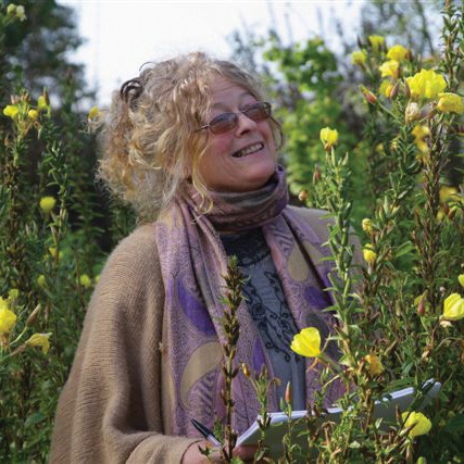 Our Authors | The Experiment